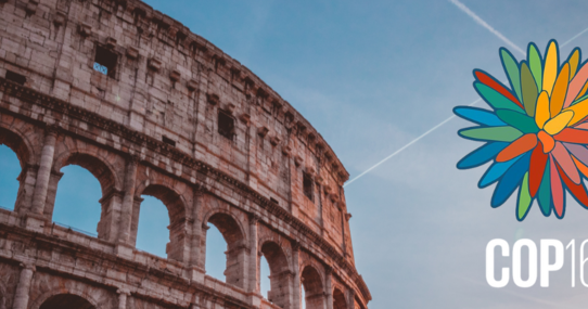 COP 16 à Rome : nouvelles avancées pour un avenir climatique durable ...