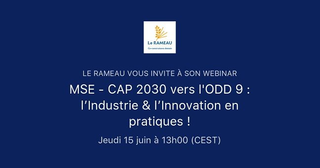 CAP 2030 vers l'ODD 9, l'industrie et l'innovation en pratiques ! - L ...
