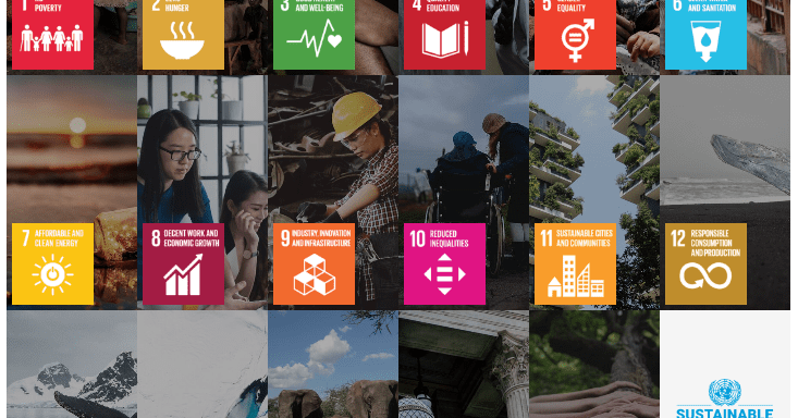 The 17 Goals - The 2030 Agenda for Sustainable Development in France